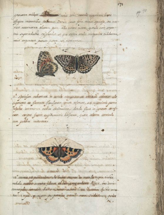 Emperors, Admirals and Chimney Sweepers by Peter Marren - Little Toller ...