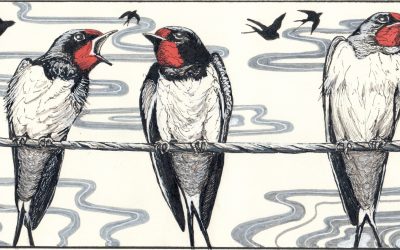 Little Toller Books | Independent publisher of new and classic nature ...