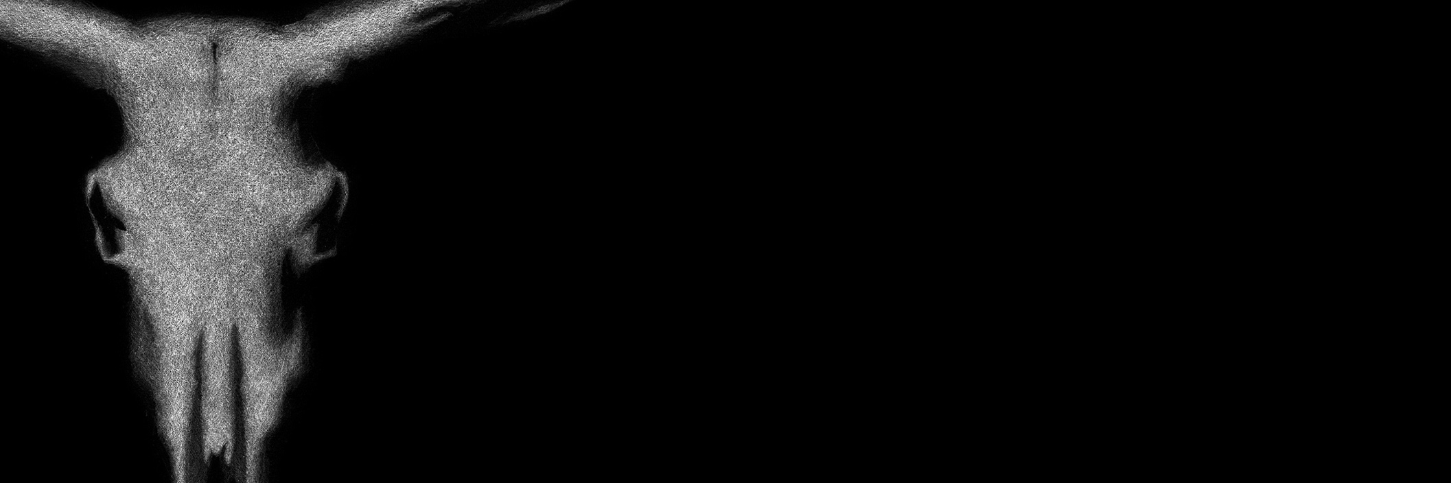 Little Toller Books | Independent publisher of new and classic nature ...