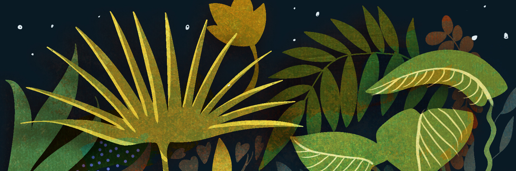 Little Toller Books | Independent publisher of new and classic nature ...