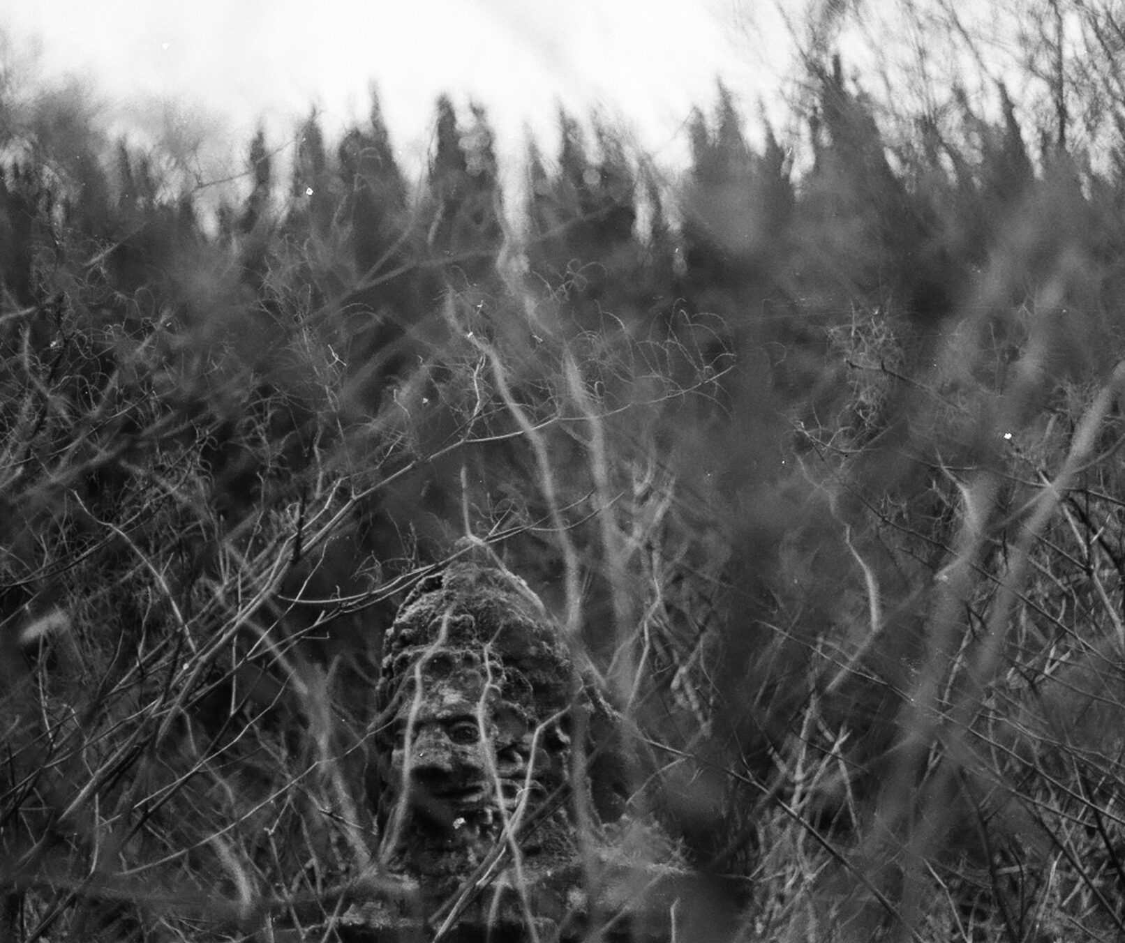 The Unfinished Estate by Tim Edensor - Little Toller Books