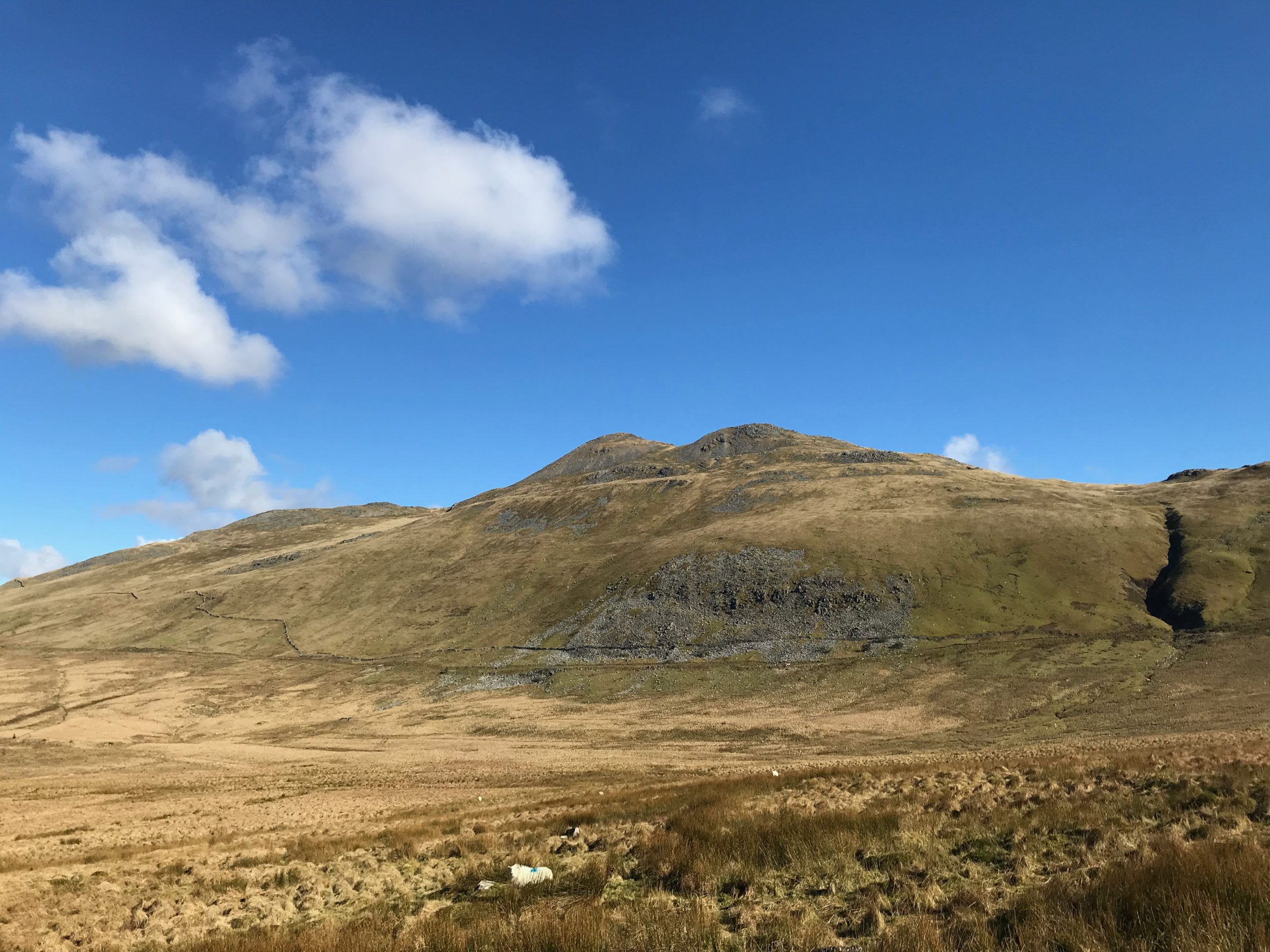 Twin peaks of Arenig fawr - Little Toller Books